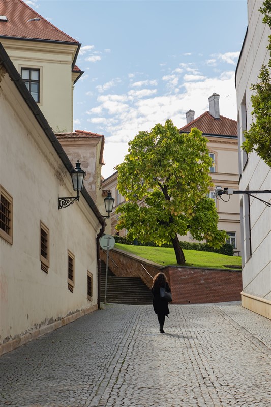 NEXT Week: Central Europe [Houghton] - Global Partners (powered by ServiceReef)