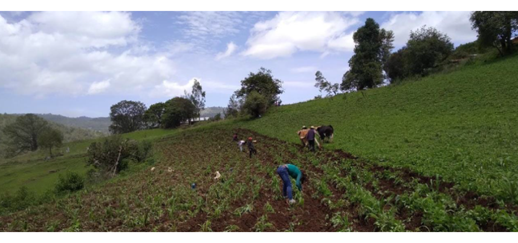 2026 Oaxaca, Mexico Saint Francis High School Summer Break - Courts for ...