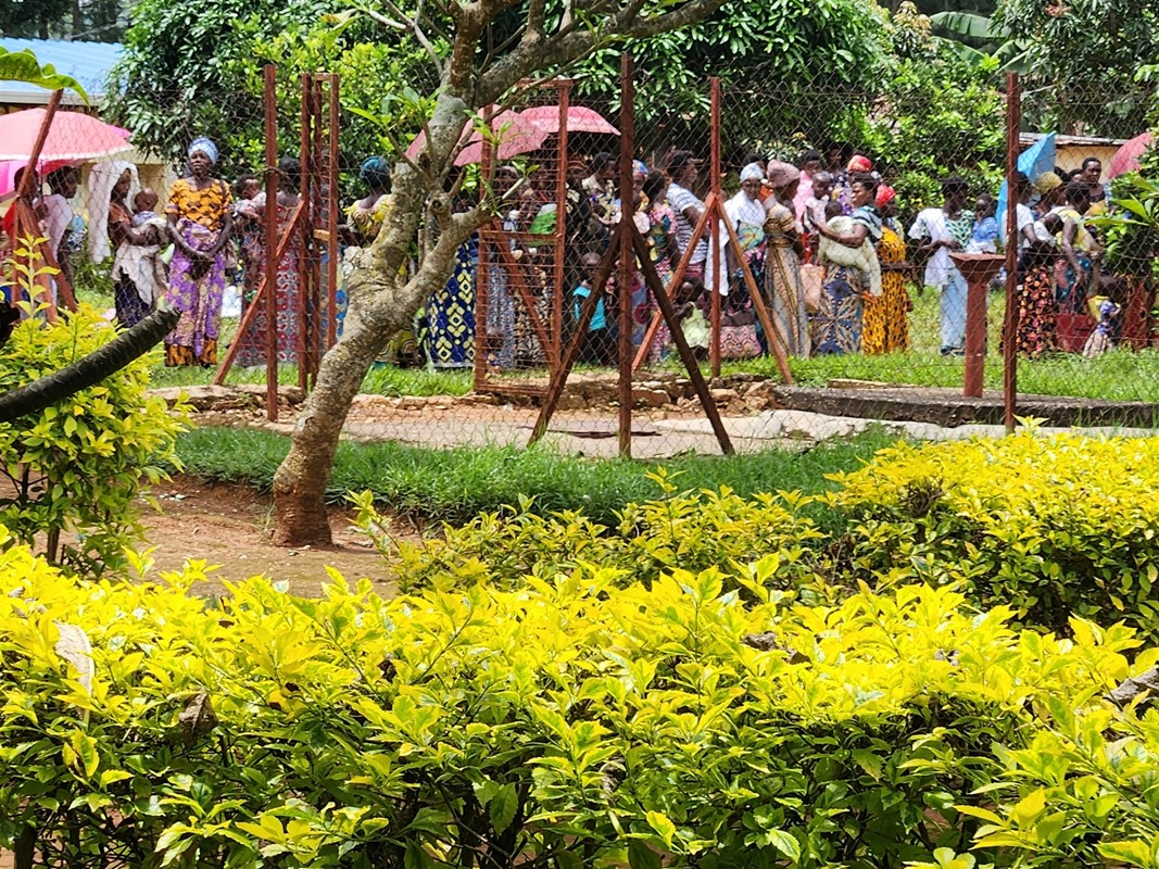 Rwanda, Jun 20 - 29, 2025, w/Steve Vaughan, NP & Brad Waller, MD, Family Trip SR1672 - Global ...