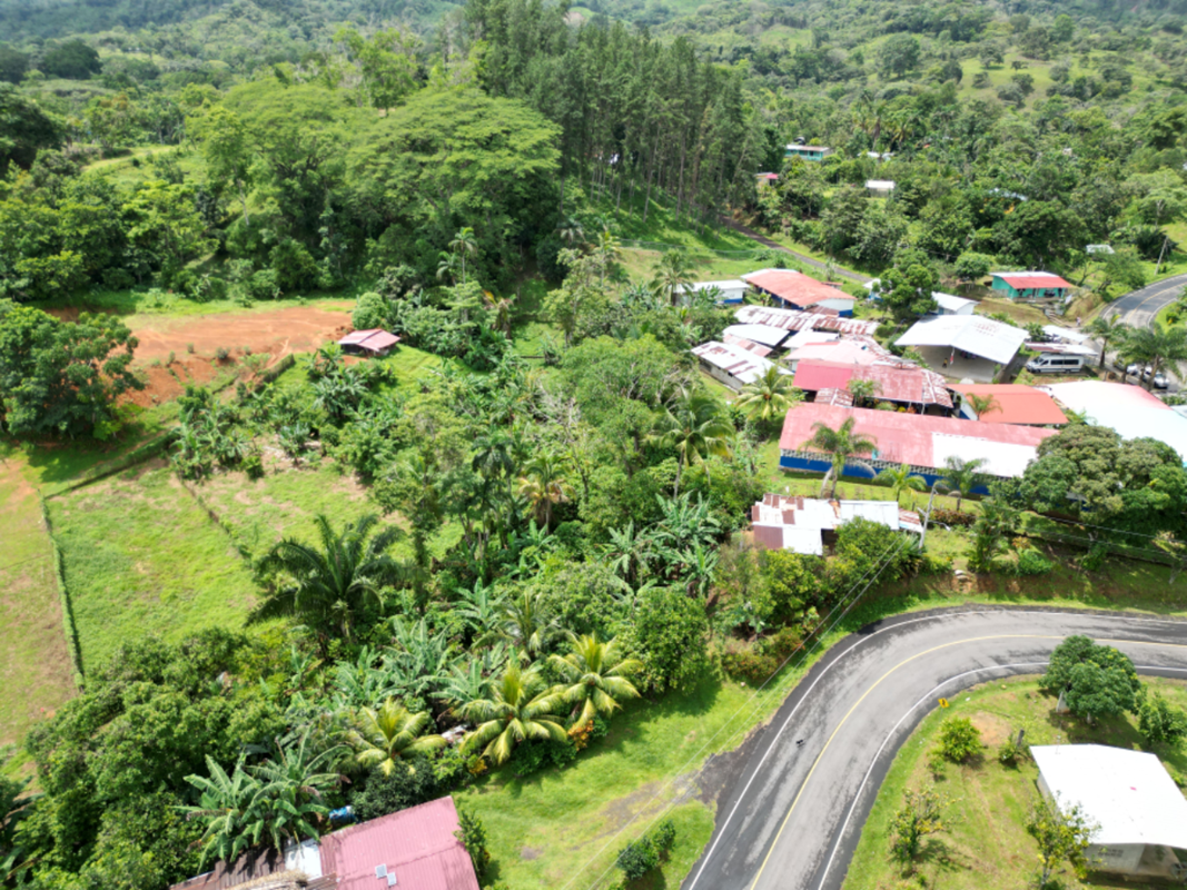 2026 Panama Franklin Pierce High School - Courts for Kids (powered by ...