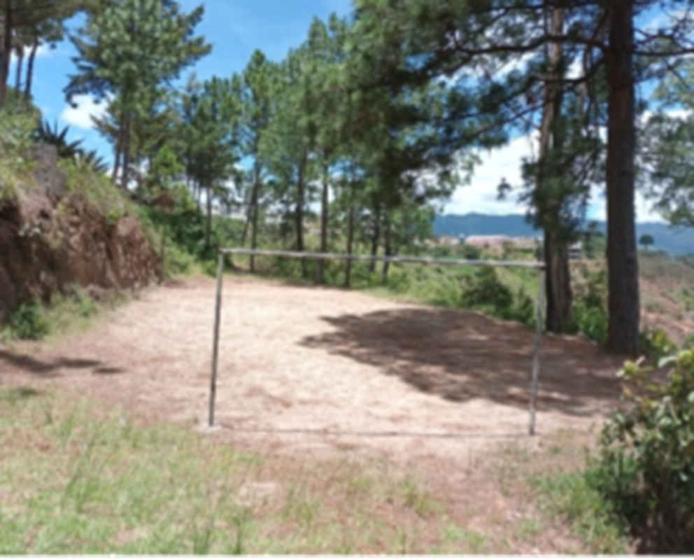 2025 Guatemala Jesuit New Orleans - Courts for Kids (powered by ...