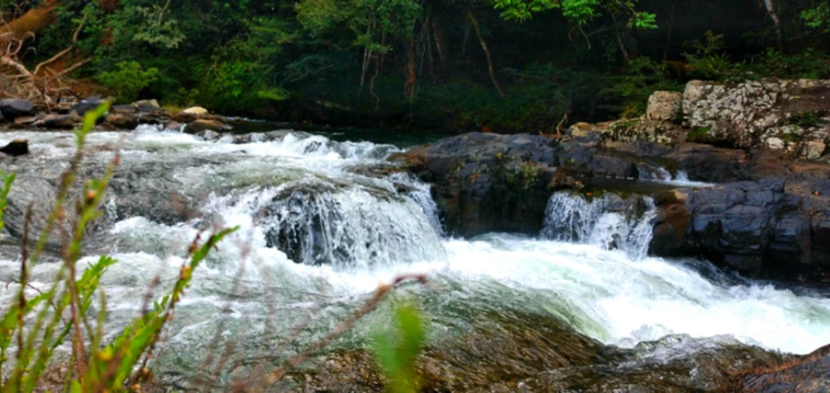2026 Panama Franklin Pierce High School - Courts for Kids (powered by ServiceReef)
