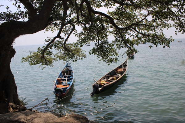 Courts for Kids | A ServiceReef Organization - Courts for Kids (powered ...