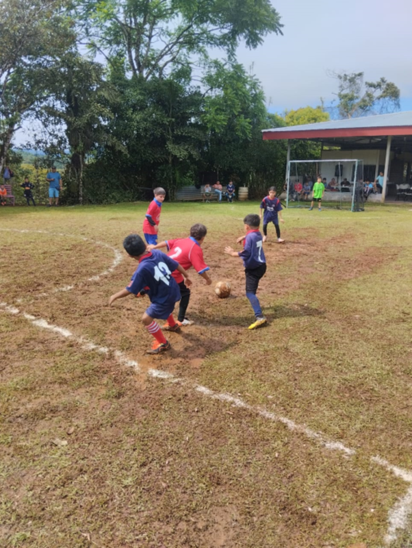 2026 Costa Rica Bellarmine College Preparatory CA - Courts for Kids ...