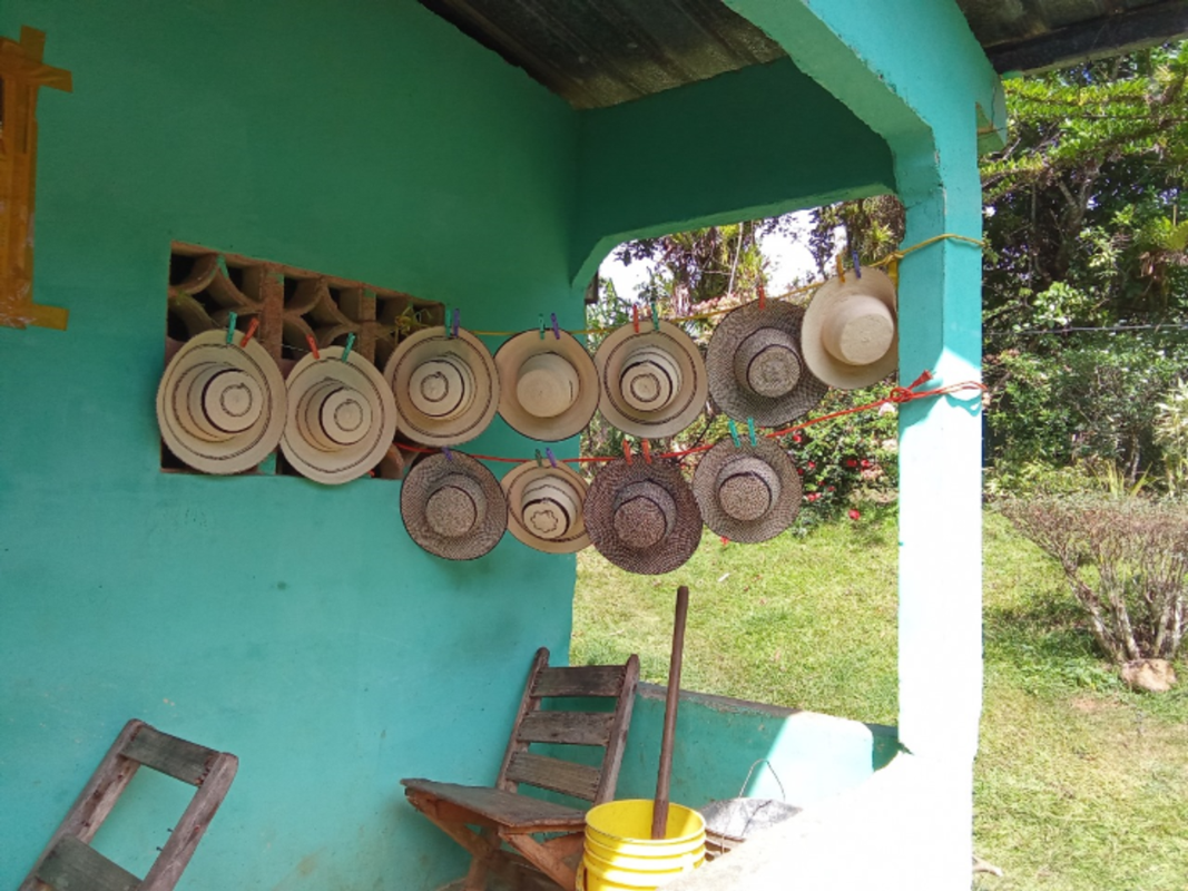 2025 Panama Jesuit Sacramento - Courts for Kids (powered by ServiceReef)